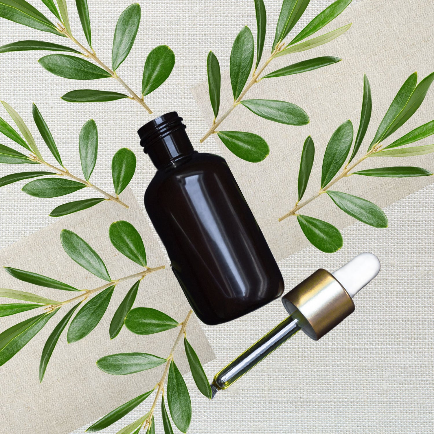 Unlocking the Power of Oil Pulling: Embrace Oral Health with Olive Oil ...